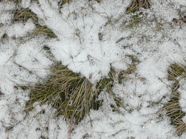 frozen ground texture 0048 - Texturelib